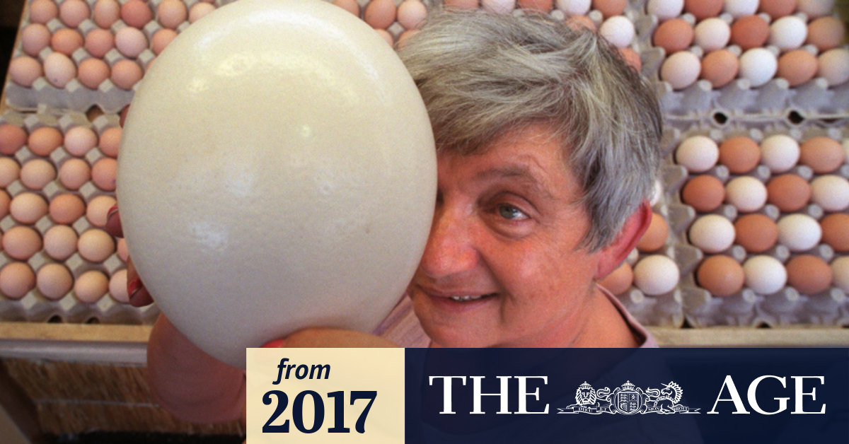 Scientists say they have worked out why eggs are shaped like eggs